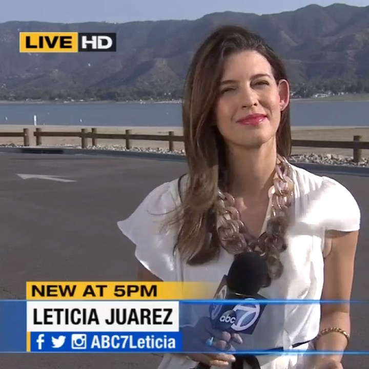 Why did the Border Patrol show up at a Latino music festival? (video) - POCHO