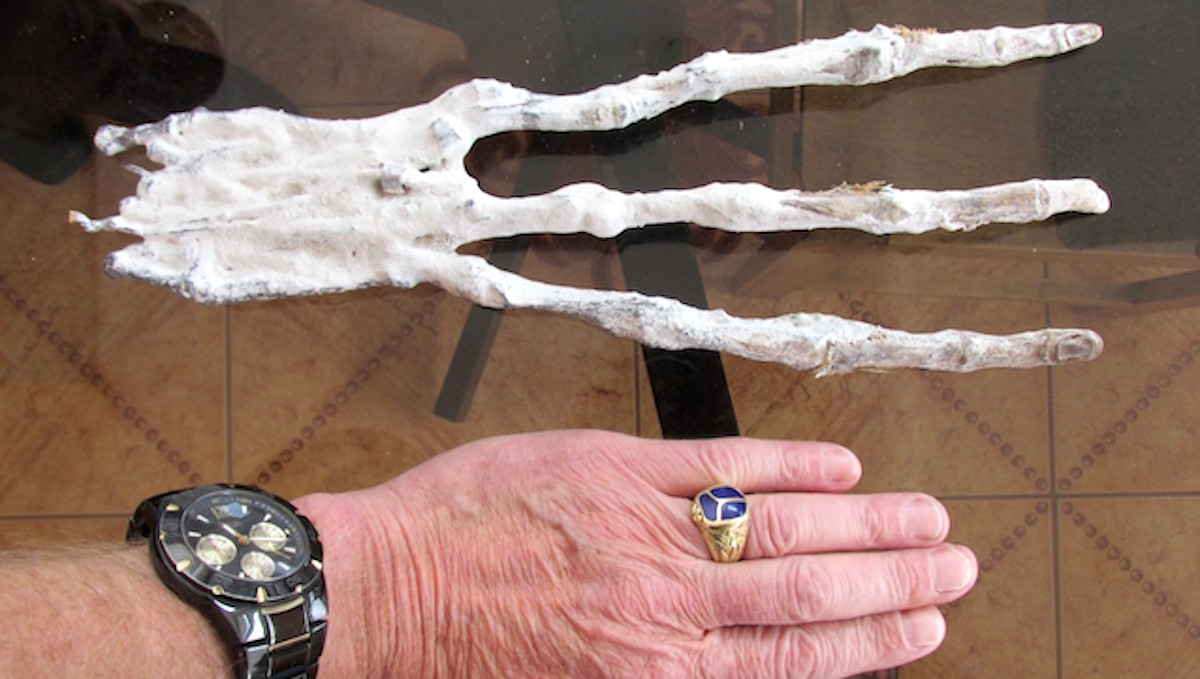 What is it? Huge 3-fingered 'alien' hand found in Peru (videos, photos ...
