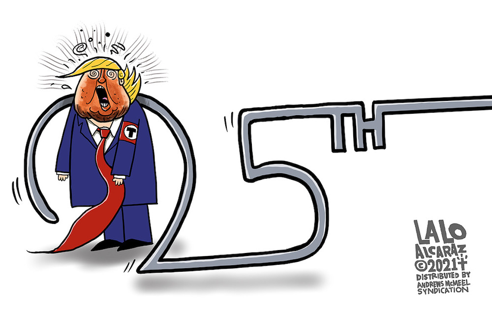 Unfit for office? There's an amendment for that! - POCHO